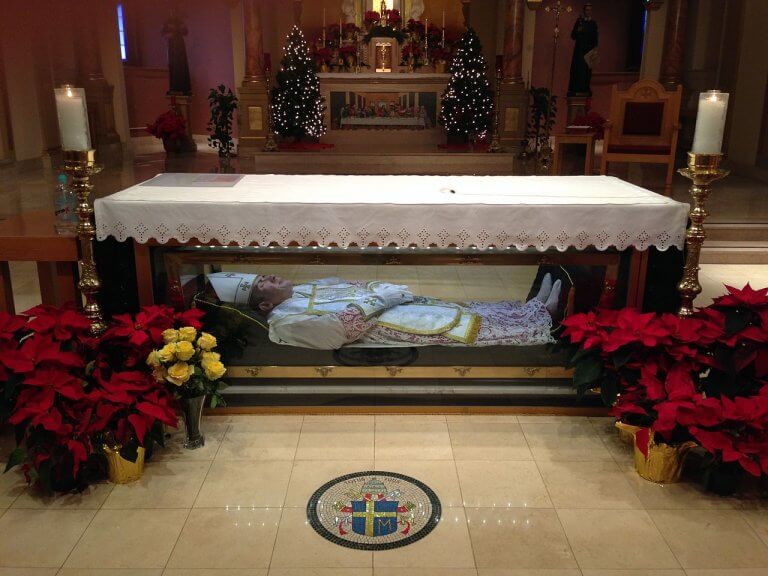 San Juan Neumann, alma de misionero y pastor – CABALLEROS DE LA VIRGEN